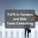 Transfer of Undertakings (Protection of Employment (TUPE) Regulations ...